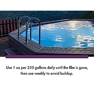 Spa & Hot Tub Enzymes - Quart - Prevents Scum Lines & Odors in Hot Tub & Spa Water, Breaks Down Oil, Lotion and Other Organics