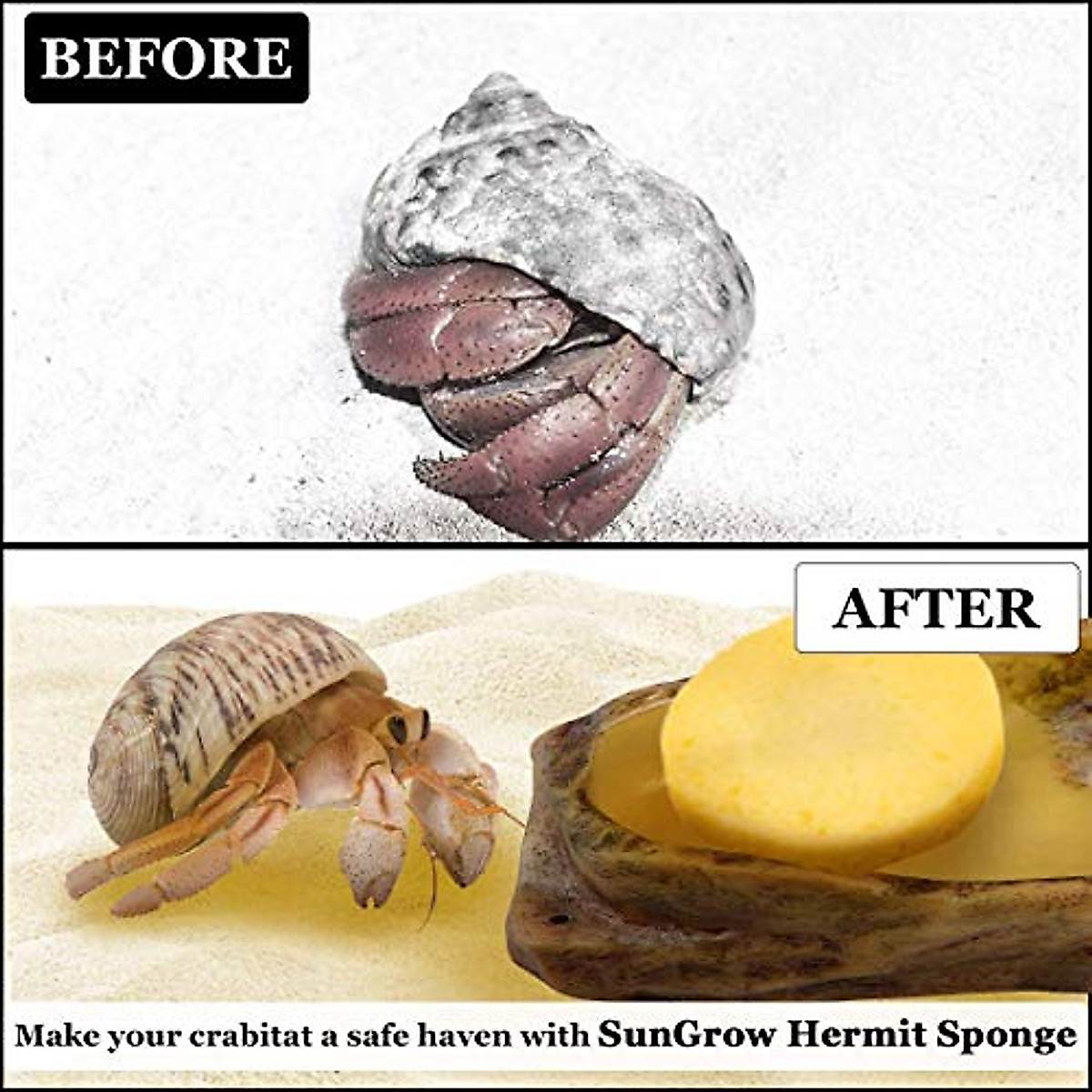 Hermit Crab Sponges for Water, 3 Pack Unbleached Hermit Crab Accessories & Supplies, Pet Crab Sponges Provide Nutrients and Maintain Tank Humidity, Water Dish Yellow Real Sea Sponges, 2" x 1"