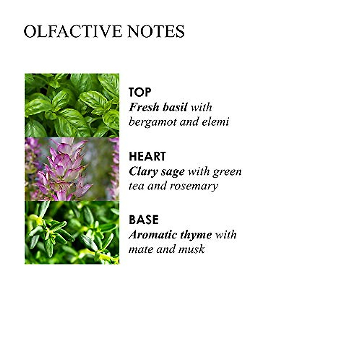 Molton Brown Refined White Mulberry Hand Lotion 10 fl. oz.