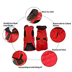 HCMIZI Fleece Lined Warm Dog Jacket for Puppy Winter Cold Weather,Soft Windproof Small Dog Coat (X-Large)