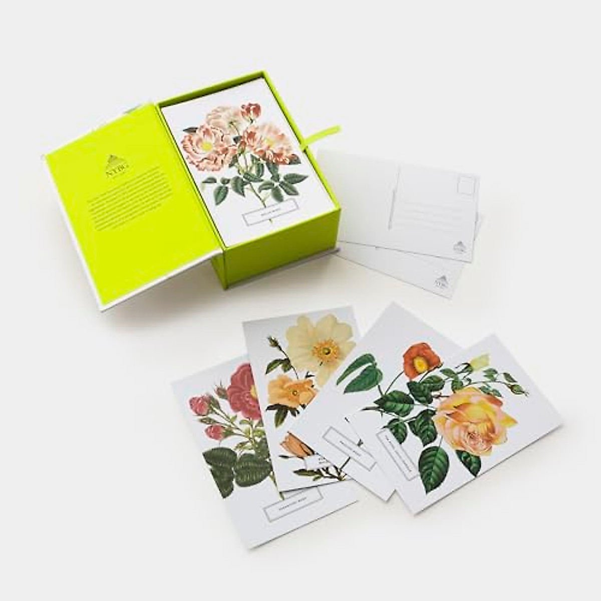 Roses: 100 Postcards from the Archives of The New York Botanical Garden