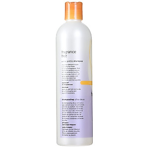 Earth Science Fragrance Free Shampoo, 12-Ounce Bottles (Pack of 3)