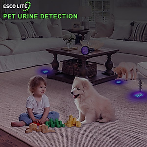Escolite UV Flashlight Black Light 51 LED 395 nM Ultraviolet Blacklight Flashlite for Pet Urine Detection,Dry Stains,Bed Bug,Scorpion,Dog/Cat Urine Light Detector Matching with Pet Odor Eliminator