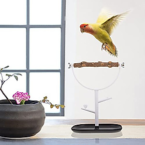 PATKAW Outdoor Toys Outdoor Toys Outdoor Playset 2 Pieces Bird Perches, Wooden Parrot Wooden Perch Bird Perch Training Standing Rack Parrot Stand Branch Outdoor Toys Outdoor Playset Wooden Toys