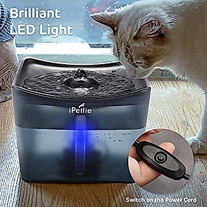 iPettie Kamino Pet Water Fountain, 101oz/3L, Ultra-Quiet Automatic Cat Water Dispenser with LED Light & Water Level Window, Auto Power Off USB Pump & Dual Filters for Cats and Dogs, Translucent Blue