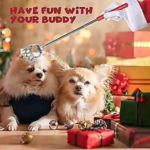 Bear Claw Back Scratcher 4 Pack - Telescopic Expendable Cool Stuff Gadgets for Dad, Husband, Grandma, Grandpa, Elderly, Older - Christmas Gifts Stocking Stuffers for Men