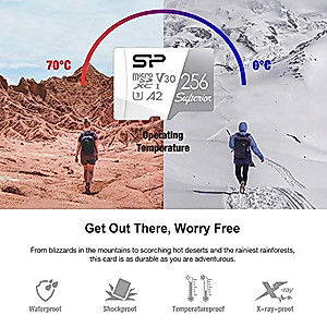 Silicon Power 256GB Superior Micro SDXC UHS-I (U3), V30 4K A2, Compatible with GoPro Hero 9 High Speed MicroSD Card with Adapter