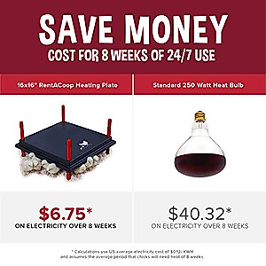 RentACoop Chick Brooder Heating Plate and Anti-Roost Cone Set- Brooder Heat Plate Warms Up to 30 Chicks - Chick Heater with 25 Adjustable Heights and 42 Watts - Safer Than to Heat Lamps - 16" x 16"