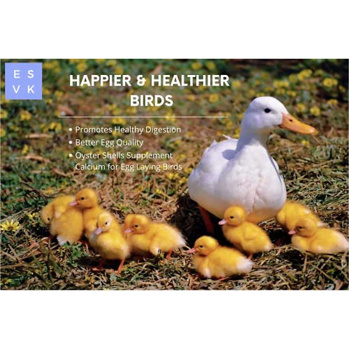 ESVK Natural Flaked Oyster Shell - 4 Pound (Pack of 1) | Calcium Supplement for Chickens, Ducks, and Other Birds| Made in USA (4 lb)