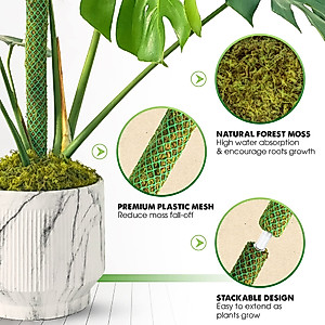 Duspro Green Stackable Mesh Moss Pole For Plants Climbing Vine Supporting Monstera Trellis, For Indoor Plants Extendable Plant Pole Moss Sticks, For Plants Monstera Potted Plant Stakes 2 pcs 22''