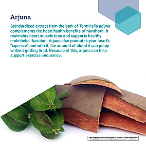 Life Extension Cardio Peak - Hawthorn Extract (Leaf, Flower, Stem) Supplement with Arjuna Extract for Heart Health Support - Twice Daily - Gluten Free, Non-GMO, Vegetarian - 120 Capsules