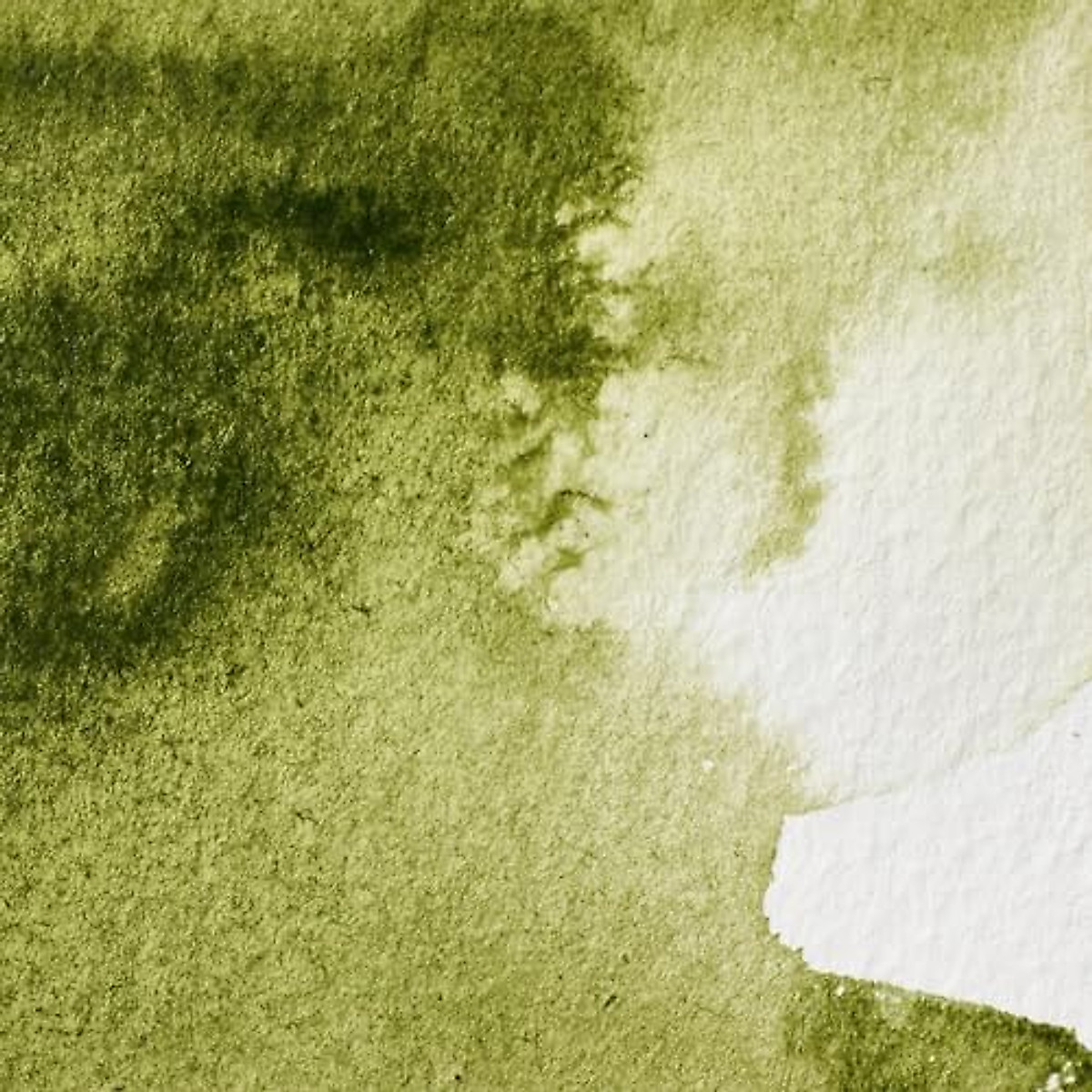 Winsor & Newton Professional Watercolor, 5ml (0.17-oz) Tube, Olive Green