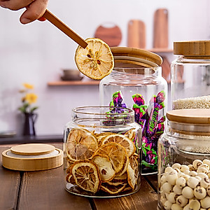 MOLADRI 1200ML/42Oz Clear Cute Glass Storage Canister Holder with Airtight Bamboo Lid, Modern Decorative Large Container Jar for Coffee, Spice, Candy, Salt, Cookie, Condiment, Pepper, Sugar