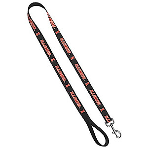 Moose Pet Wear Leash 1" x 4', University of Illinois - Carbon Fiber