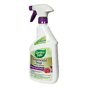 Garden Safe Insecticidal Soap Insect Killer, Kills Bugs Through Contact, Controls Aphids, Whiteflies, Mealybugs, For Organic Gardening, (RTU Spray) 24 fl Ounce