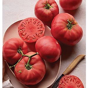 Burpee 'Brandywine', Pink Beefseak Tomato, 90 Non-GMO Seeds