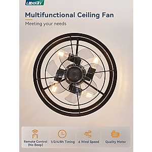 LEDIARY 16.5 inch Black Caged Ceiling Fan with Light, Bladeless Industrial Ceiling Fan with Remote, Farmhouse Fan Lights Ceiling Fixtures for Kitchen, Bedroom, Outdoor（6 Speed, Timing）-Black
