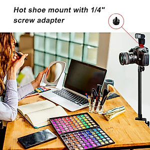 Obeamiu 2 Pack C Clamp Desk Mount Light Stand with 1/4" Ball Head and Hot Shoe Mount Adapter, 15.5-25.5 Inch Adjustable Tabletop Bracket Stand for DSLR Camera, Ring Light, Video Monitor, Microphone