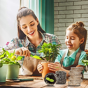 MAQIHAN 50PCS Peat Pellets for Seedlings - 35MM Seed Starter Pellets Peat Pods for Starting Seeds Garden Soil for Planting Transplanting Growing Garden Flower Vegetables Germination Propagation Tray