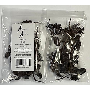Alder & Casuarina Cones Betta/Shrimp Tank Promotes Natural Habitat, Breeding, Tannin Producing Improves Immunity, Easy to Use, Alder Cone Alternative by Awesome Aquatic (50 Pack Alder)