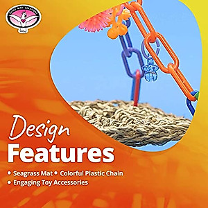 Super Bird Creations SB747 Mini Flying Trapeze Bird Toy, Small Bird Size, 6” x 7” x 9”