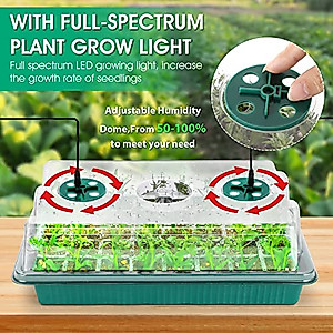 Yskea Seed Starter Kit with Grow Light, 80 Cells Seed Starter Tray with Light, Seedling Starter Trays with Vented Humidity Dome and Base, Indoor Gardening Plant Germination Kit, 2-Pack