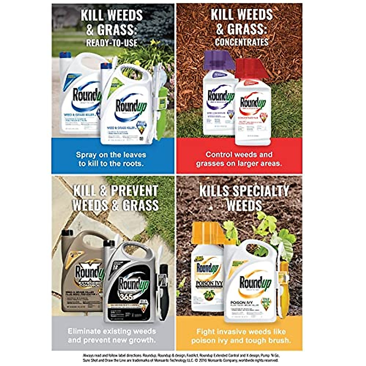 Roundup 5107300 Extended Control Weed and Grass Killer Plus Weed Preventer II Ready-to-Use Trigger Spray, 24-Ounce (2 Pack(24 oz bottles))