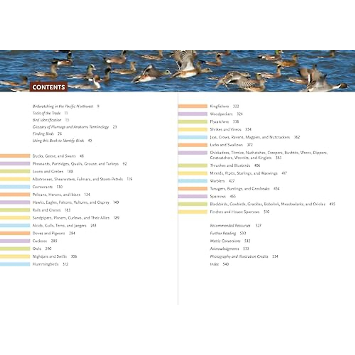 Birds of the Pacific Northwest (A Timber Press Field Guide)