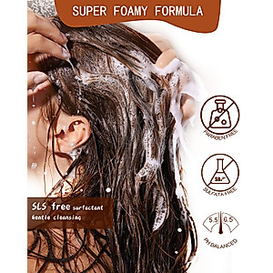 SAPHUS Argan Oil Shampoo Bar for Strengthening, Cleansing & Moisturizing Dry & Curly Hair,Travel Size, Zero Waste