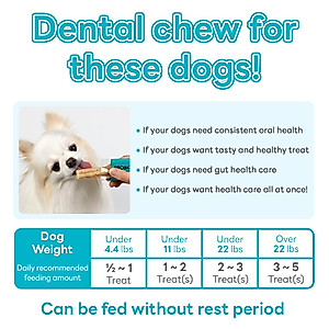 DOCTOR BY Probiotic Chew, Dental Dog Treats with Probiotic Supplement for Small/Medium Dogs – Freshens Breath, Supports Digestive Health (4.6oz, 10 Packs) (Duck) (Probiotics)