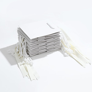 SHYRABBIT 10pcs White Gift Bags with Handles,7.9x3.1x9.1Inch Cosmetics Paper Bags,Gift Bags,White gift bags with Bow,Christmas Gift Bags, shopping Paper bags