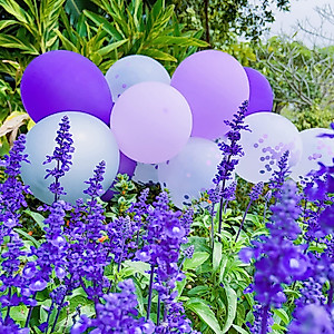 Purple and Silver Balloons Garland kit 135pcs Lavender Arch Balloons,Dark Confetti Metallic macaron Purple Butterfly Balloons,for Wedding Birthday Baby Shower Graduation Party Decorations Supplies