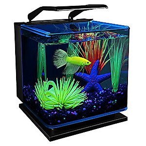 GloFish Betta Shadowbox Aquarium Kit