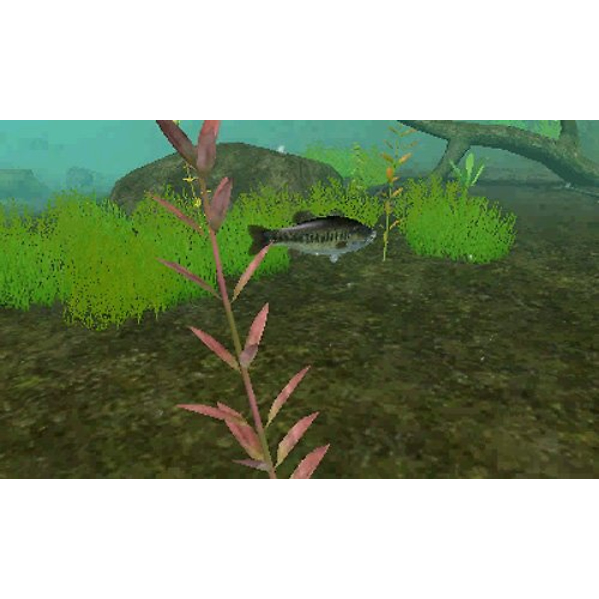 Fish On [Japan Import]