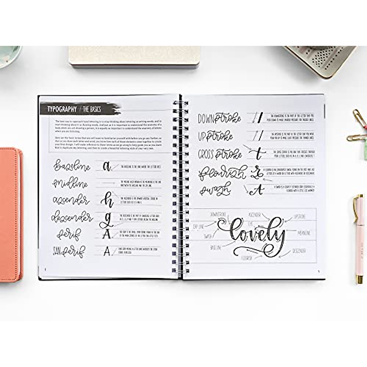 The Ultimate Guide to Modern Calligraphy & Hand Lettering for Beginners