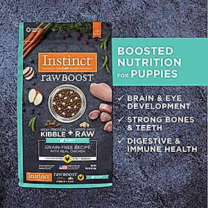 Instinct Raw Boost Puppy Grain Free Recipe with Real Chicken Natural Dry Dog Food, 10 lb. Bag