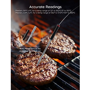 Govee Meat Thermometer 2.5mm Probe Replacement 2-Pack for Model H5055