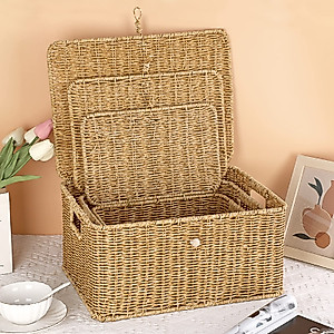 Hipiw Resin Woven Baskets Bin with Lid & Handle - Set of 3 Rectangular Shelf Baskets Multipurpose Storage Basket Boxes Home Decorative Container for Closet Shelf Organizing, Large Size