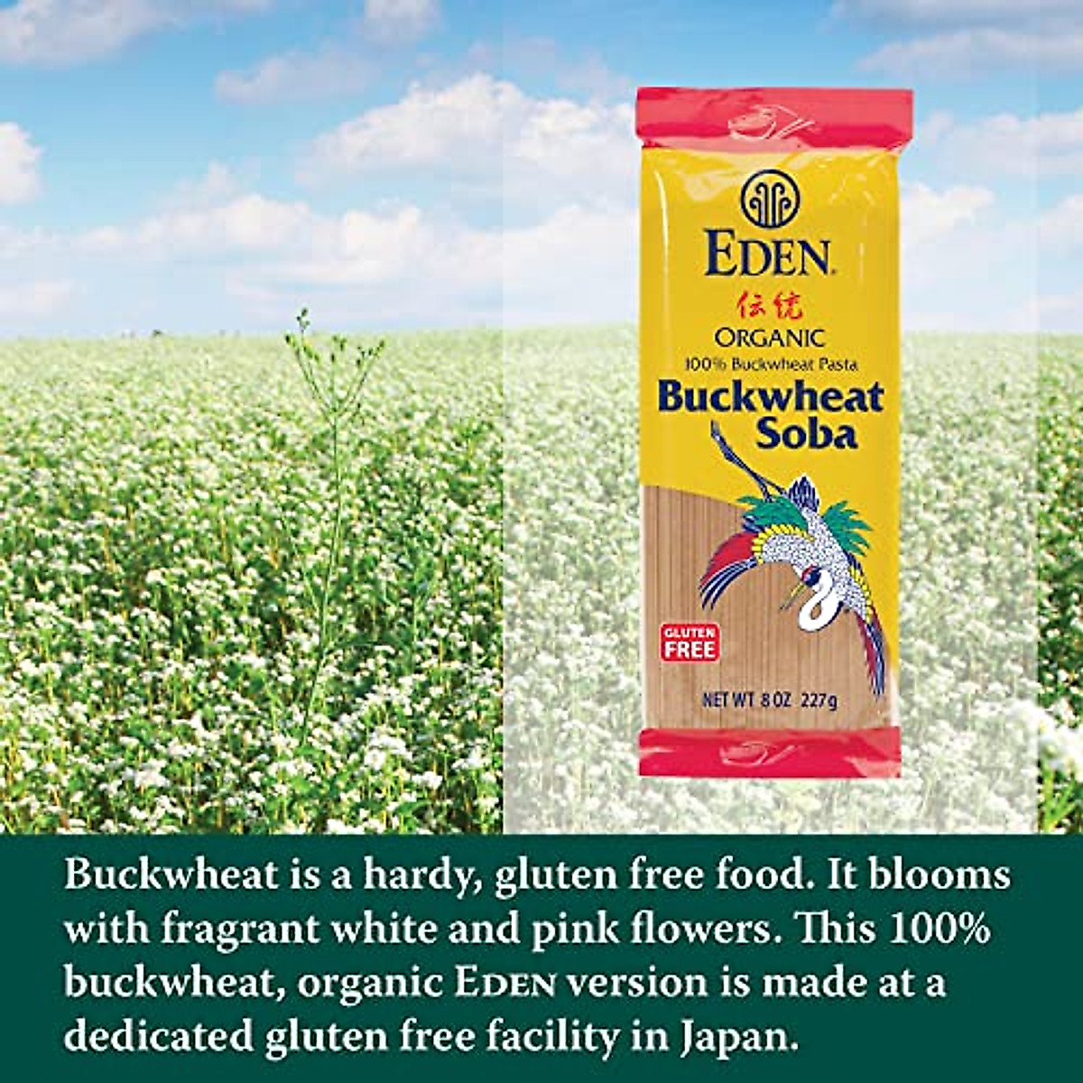 Eden 100% Buckwheat Soba Pasta, 8 oz