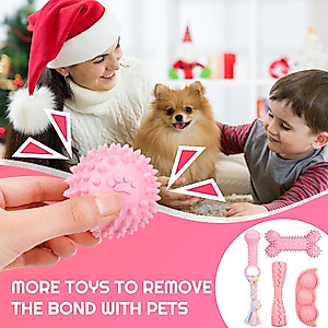 Fuyamp 5 Pack Puppy Chew Toys for Teething Puppies Soft Rubber Cute Pink Dog Toys Teeth Cleaning Teething Toy Soft Rubber Rope Dog Toys Funny Bone Ball Cleaning Teeth Dog for Small Medium Dogs