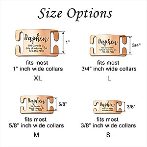 Anavia Slide On Silent Pet ID Tags, S/M/L/XL Personalized Gold Black Stainless Steel Customized Engraved Cat Dog Name Tags, Glossy Finish Chew-Proof Quiet Dog Collar Tag (X-Large, Black)