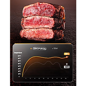 SINOPUREN Electric Grill TG101, Indoor BBQ Rotisserie, with Adjustable Temperature Control, Removable Grill & Griddle Nonstick Plates, 1600w Fast Heat Up, Stainless Steel, Dishwasher Safe