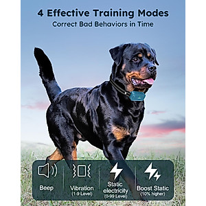 Jugbow Dog Shock Collar 2 Dogs - 4200FT Dog Training Collar with Remote, IPX8 Waterproof E Collar for Dogs Training Rechargeable Collars for Large Medium Small Dogs (10-120lbs)