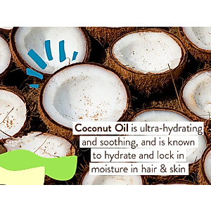 Babo Botanicals Daily Sheer Mineral Face Sunscreen Lotion SPF 40, Fragrance Free, 1.7 Fl Oz