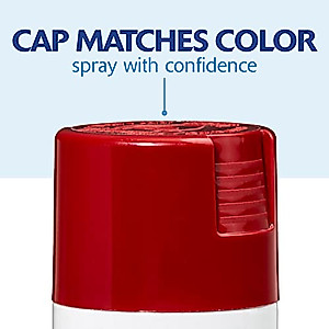Rust-Oleum 249116 Painter's Touch 2X Ultra Cover Spray Paint, 12 oz, Gloss Colonial Red (Pack of 2)