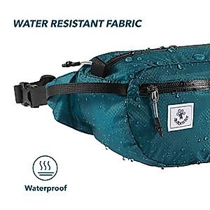 4Monster Hiking Waist Packs Portable,Water Resistant Fanny Pack Bags Lightweight with Adjustable Strap for Outdoor, Workout,Running,Hiking,Traveling,Biking,Camping and Fishing (Blue, 2L)