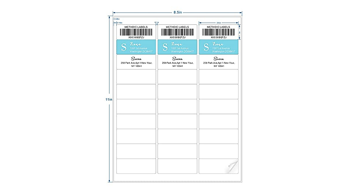 Methdic Address Labels 1"x2-5/8" - 900 Count | Laser/Inkjet