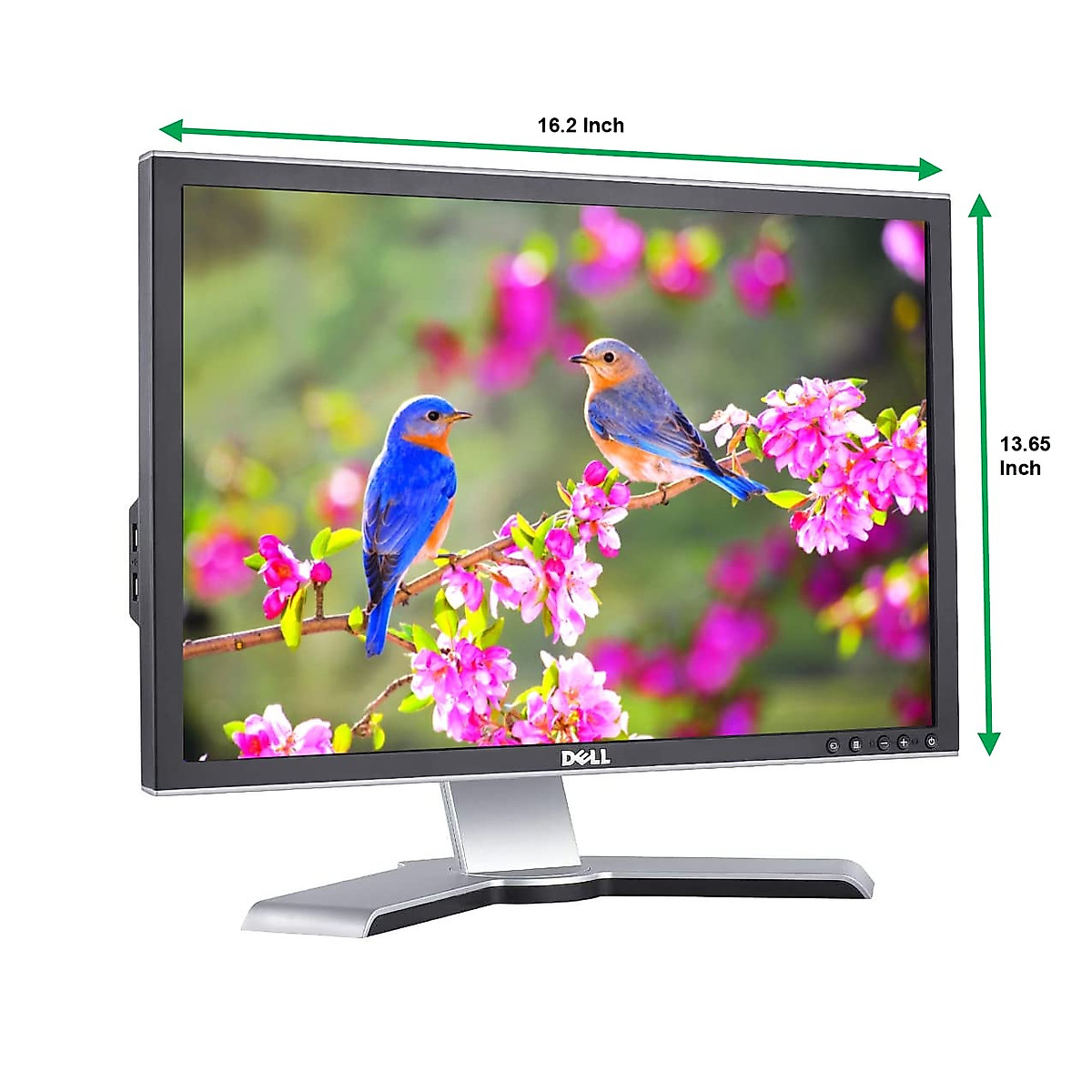 Dell 1907FPT LED Backlit |1280 x 1024 | 19 Inch Monitor, VGA and DVI Ports, 16.7 Million Colors, Horizontal and Vertical Viewing 130/140, Response Time 8ms (Renewed)