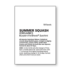Burpee Fordhook Zucchini Organic Summer Squash Seeds 50 seeds