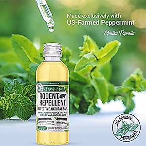 Mighty Mint 8 oz Peppermint Rodent Repellent Concentrate - Makes 1 Gallon - Natural Spray for Rats, Mice, and More